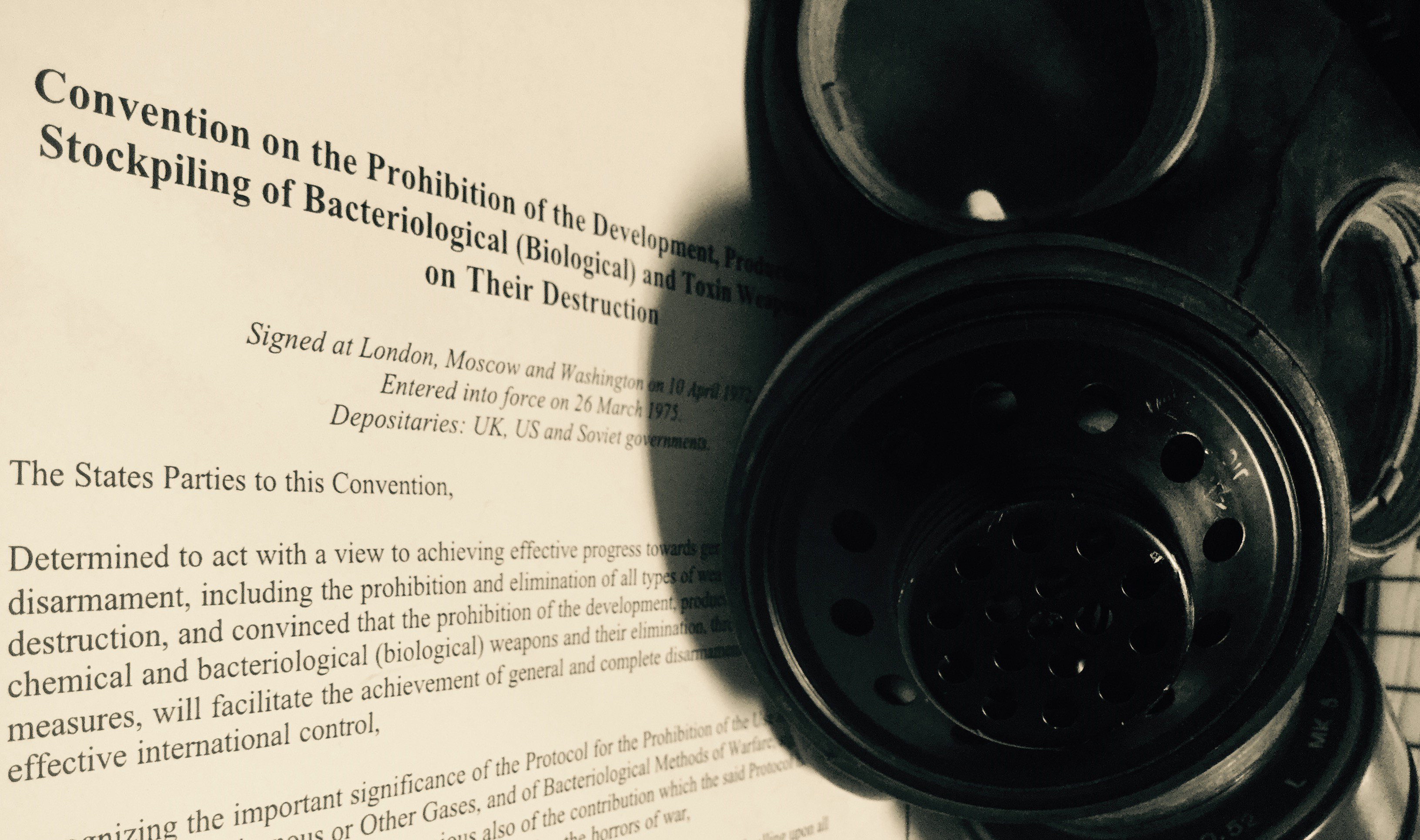 OP#31: Revisiting Compliance in the Biological Weapons Convention ...