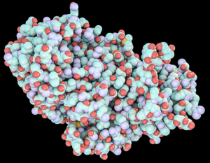 The Threat and Control of Ricin as a Weapon | James Martin Center for ...