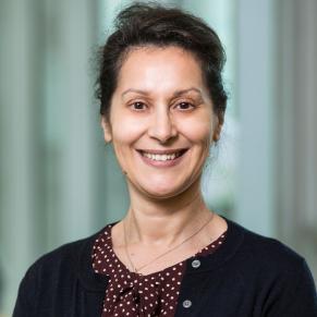 Announcing the 2020 McElvany Award winners | James Martin Center for ...